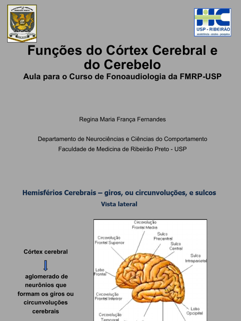 Funções Do Córtex e Cerebelo Aula Fono REVISADA 2020 | PDF