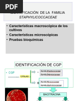 Citrobacter freundii: Características y Aislamiento | PDF | Las ...