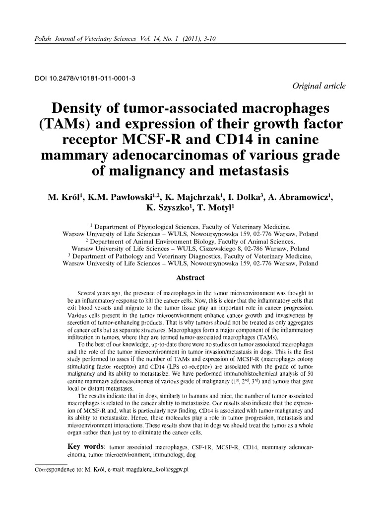 Density of Tumor Associated Macroph | PDF | Metastasis | Cancer