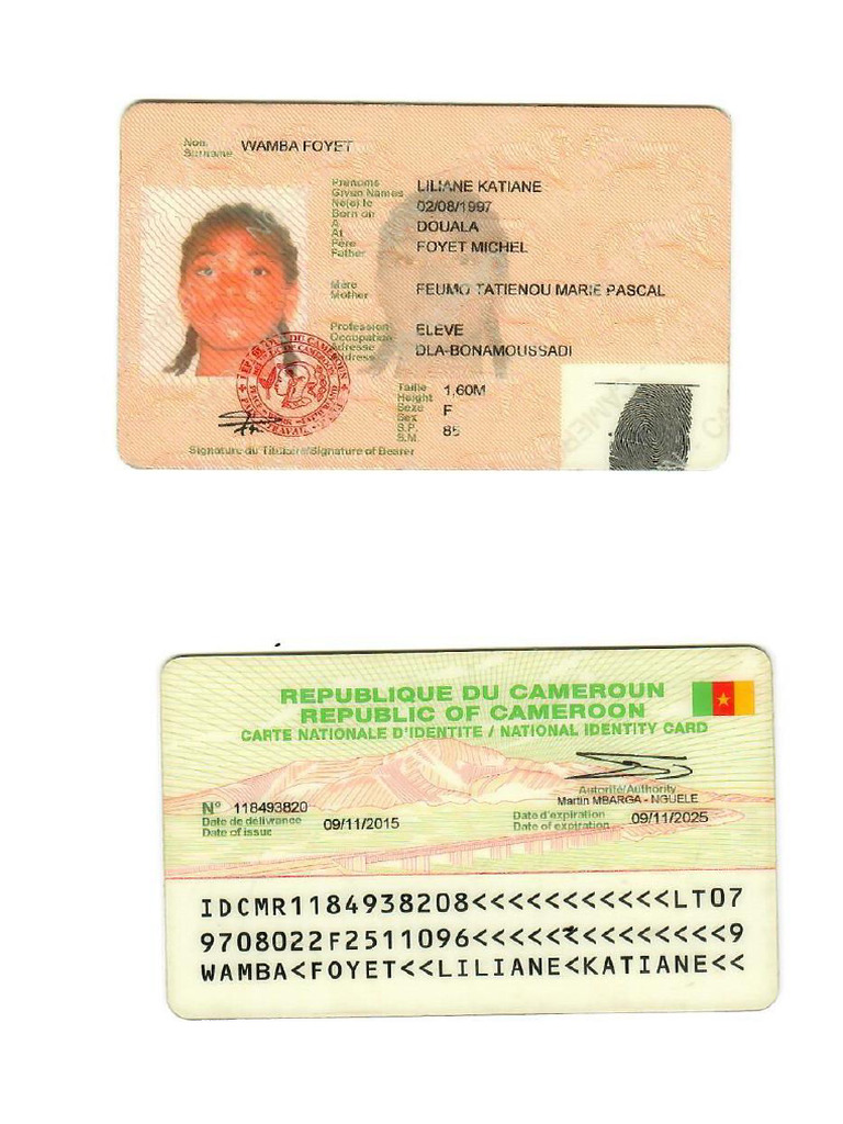 CNI | PDF