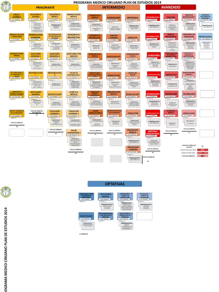 Materiograma Médico Cirujano Oficial | PDF