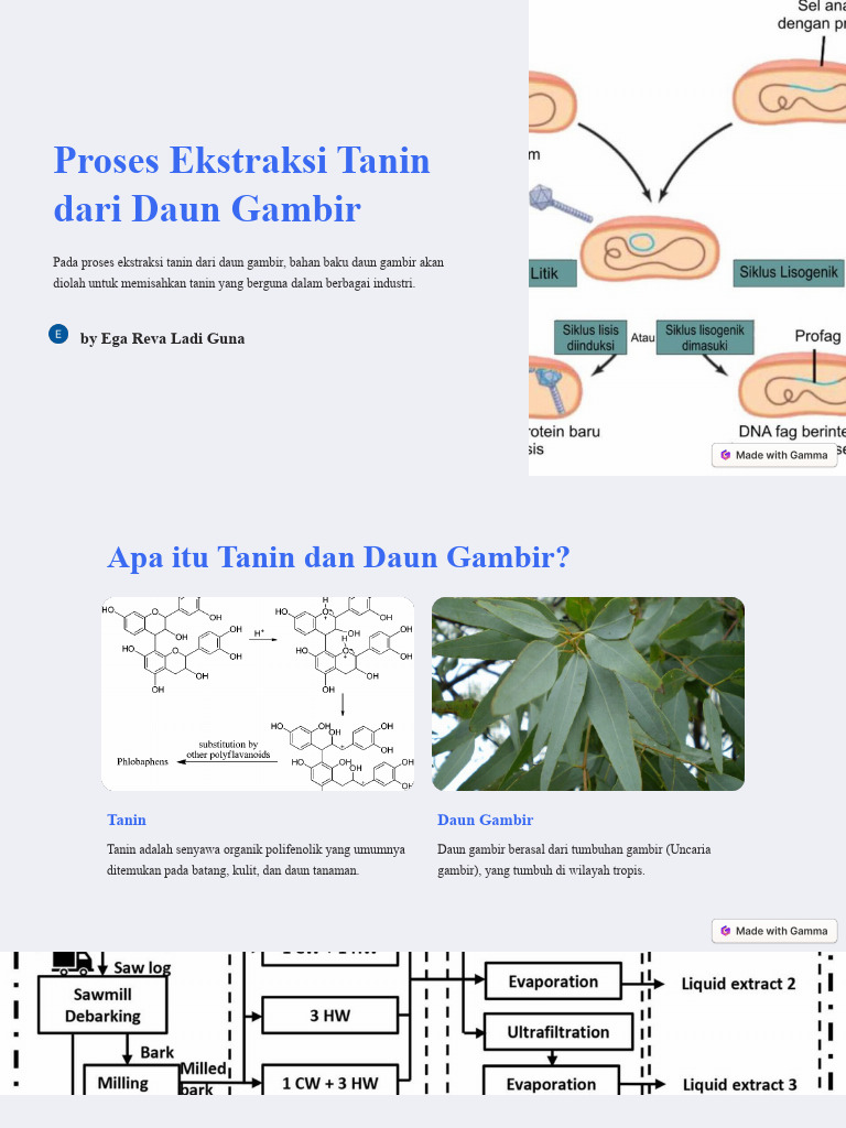 Proses Ekstraksi Tanin Dari Daun Gambir | PDF