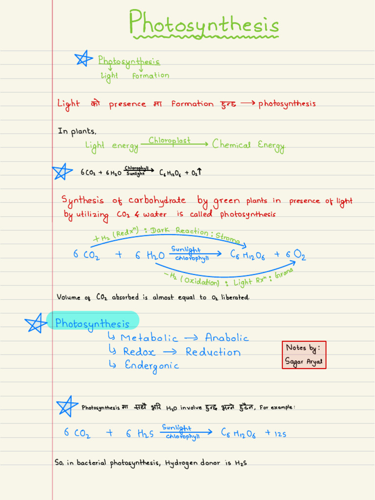 Sgr. Photosynthesis Note | PDF