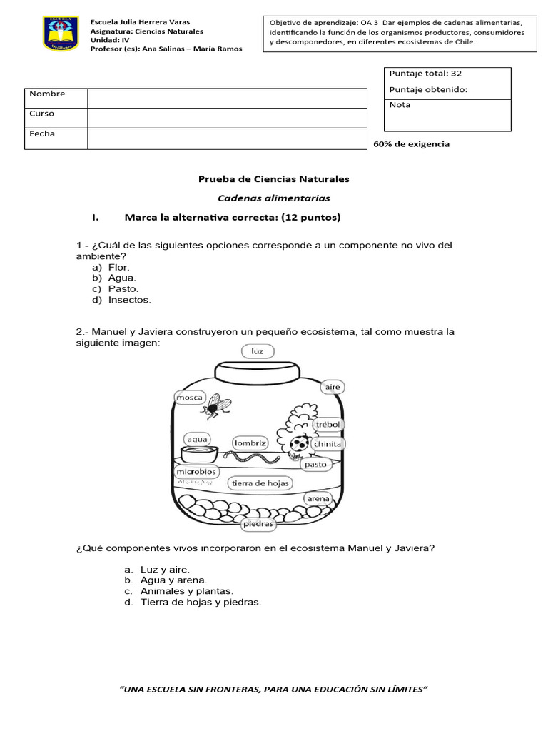Cadenas Alimentarias Prueba | PDF | Ecosistema | Red alimentaria