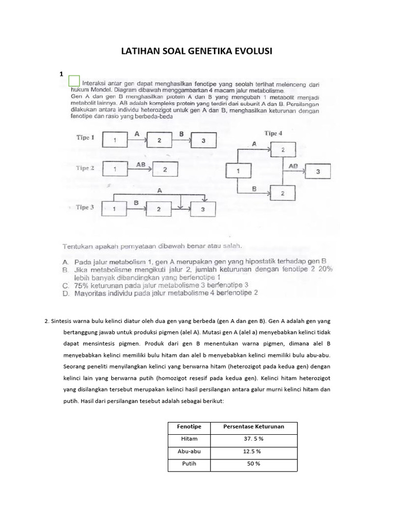 Latihan Soal Genetika Evolusi | PDF
