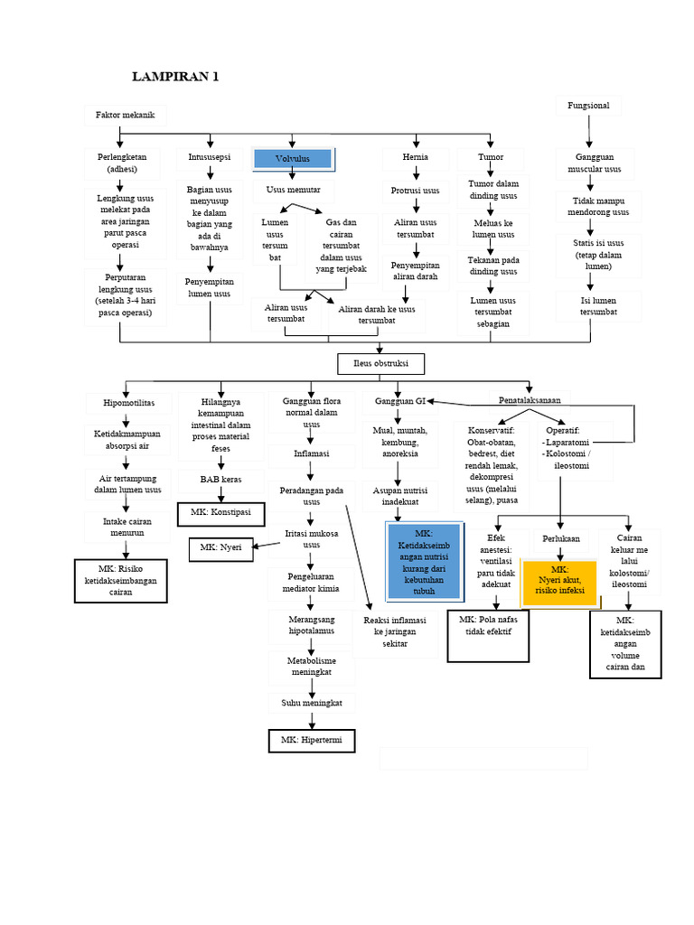 Pathway Pasca Operasi Laparatomi | PDF