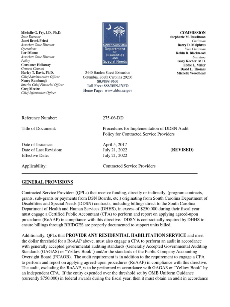 DDSN Audit Procedures for Service Providers | PDF | Audit | Auditor's ...