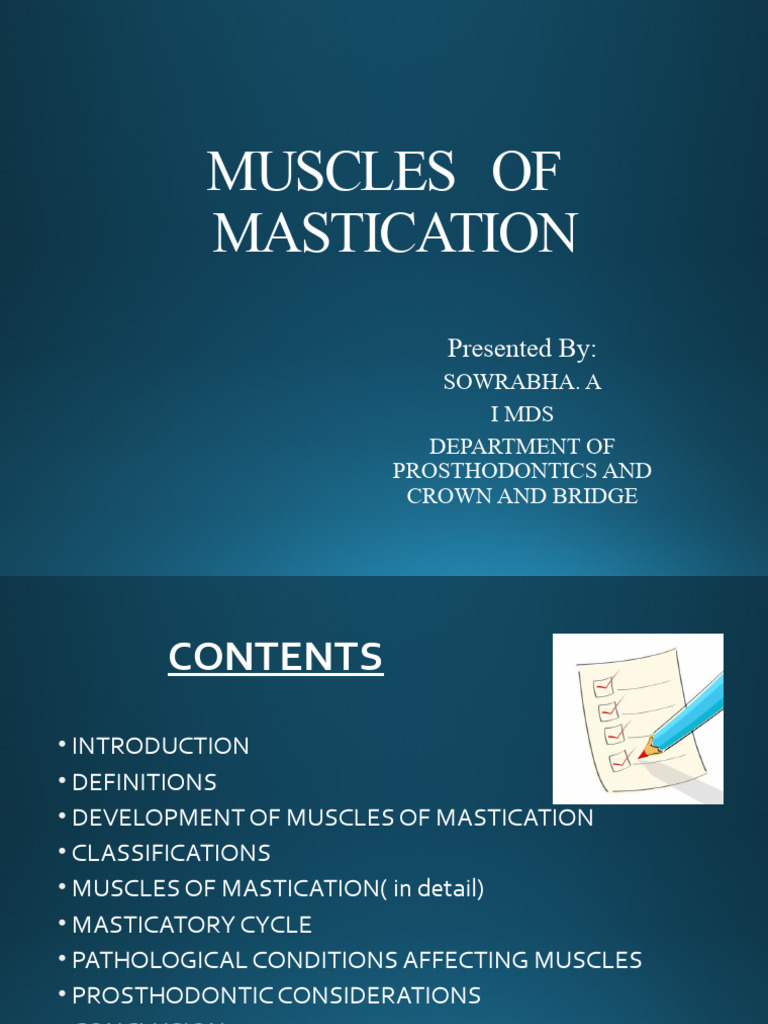 Muscles of Mastication | PDF | Human Anatomy | Musculoskeletal System