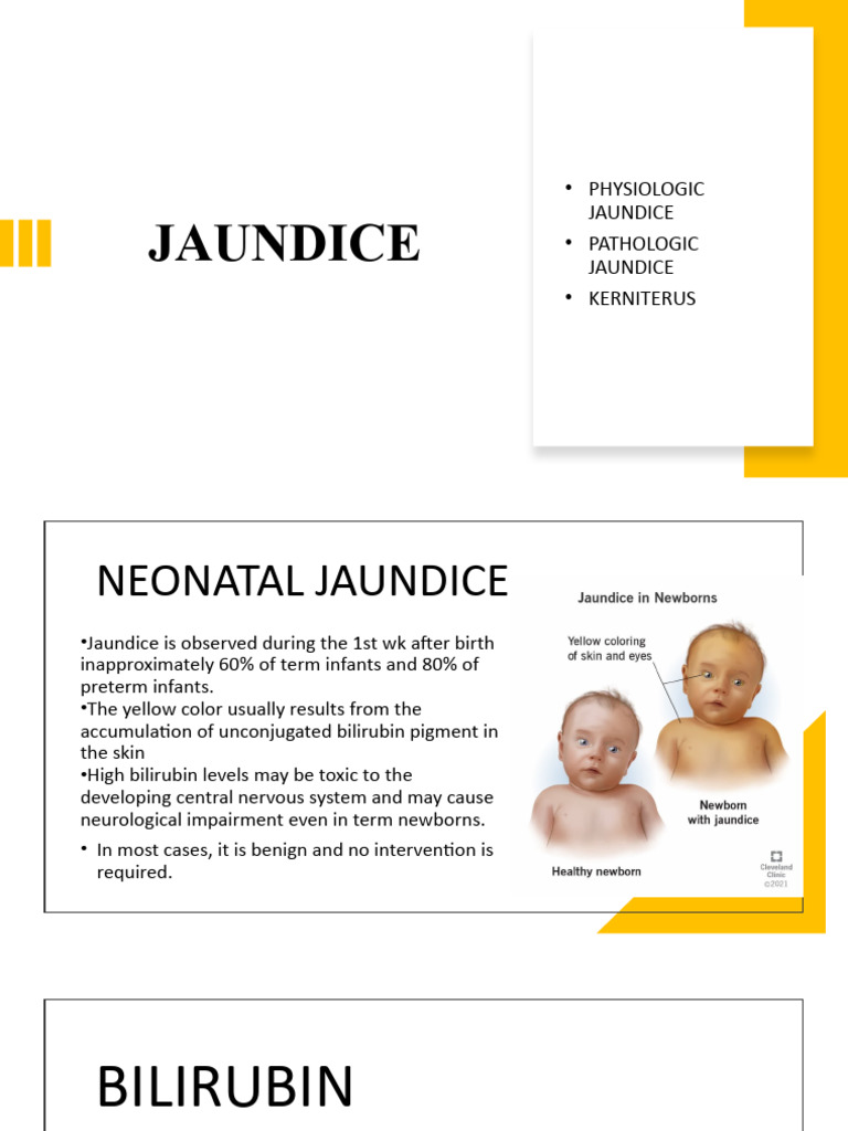 JAUNDICE Report | PDF | Medicine | Causes Of Death