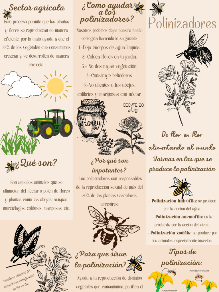 Triptico Polinizacion | PDF