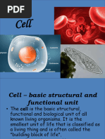 Cell Rap Lyrics | PDF | Cell (Biology) | Cytoplasm
