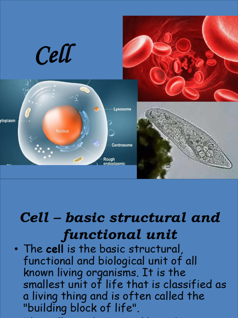 CELL | PDF | Cell (Biology) | Microtubule