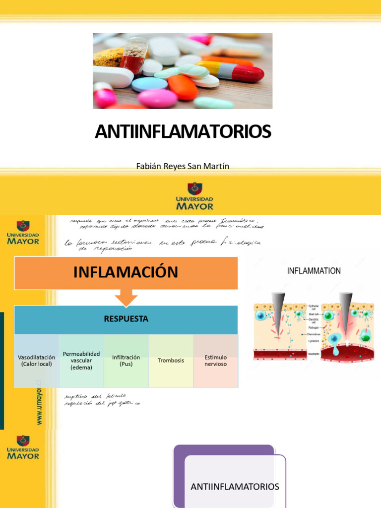 23.antiinflamatorios | PDF | Droga anti-inflamatoria libre de ...