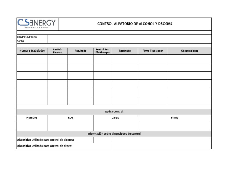 Formatos Control | PDF