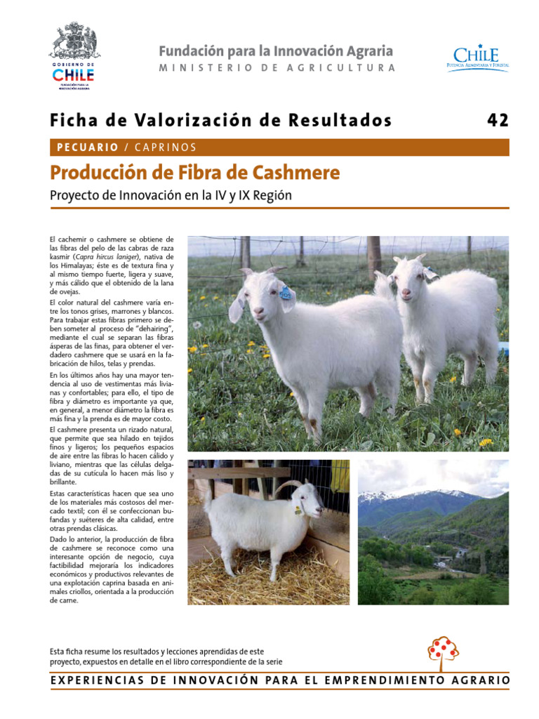 Producción y Valoración de Fibra Cashmere | PDF | Tasa interna de ...