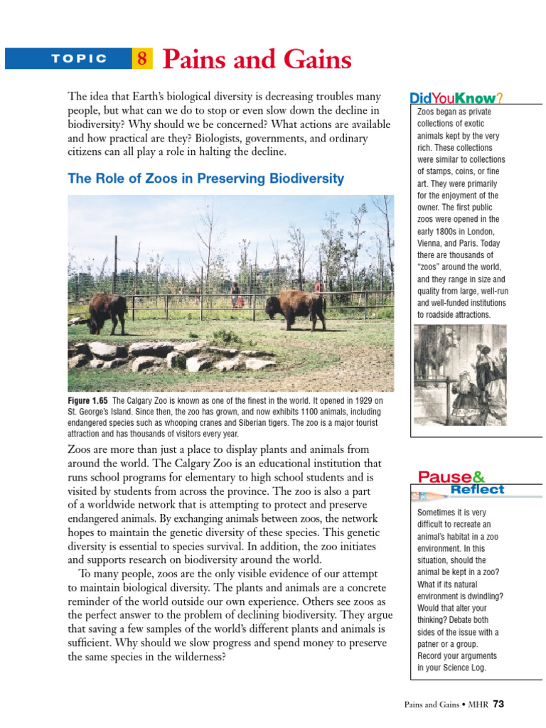 Science in Focus 9 - Unit 1 Topic 8 Pains and Gains | PDF ...