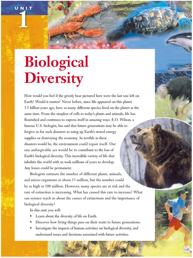 Science in Focus 9 - Unit 1 Topic 1 Biological Diversity | Download Free PDF | Galápagos Islands ...