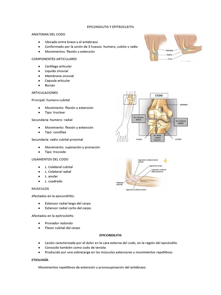 Epicondilitis y Epitrocleitis | PDF | Codo | Sistema musculoesquelético