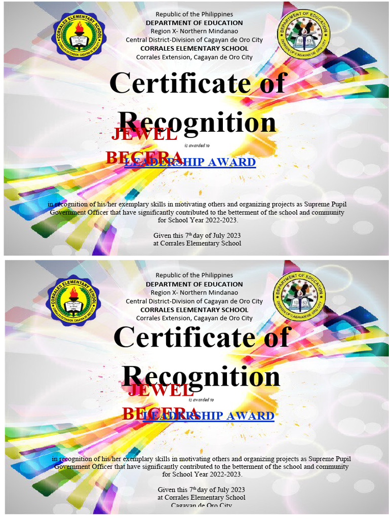 LEADERSHIP AWARD | PDF