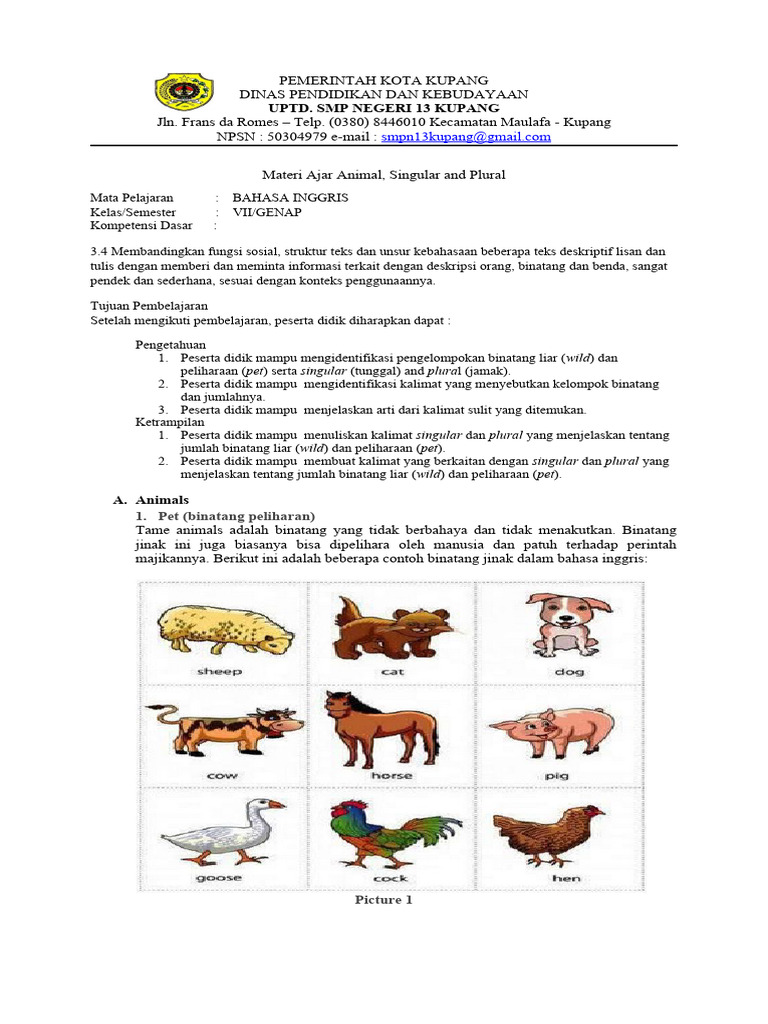 Materi Ajar 03 Animals, Singular and Plural | PDF