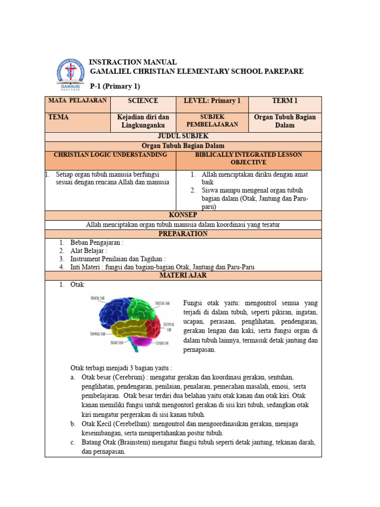 Brain, Lungs, Heart, Im& LP | PDF