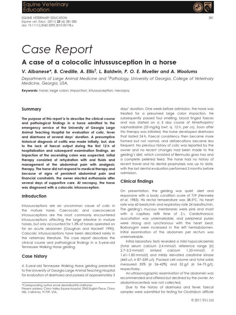 A Case of A Colocolic Intussusception in A Horse | PDF | Medicine ...