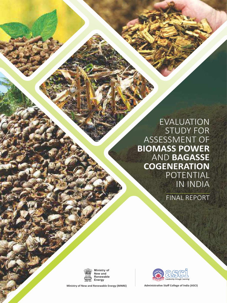 Asci Study - Biomass | PDF