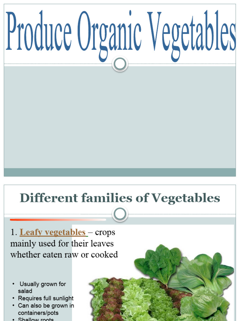 Produce Organic Vegetables | PDF