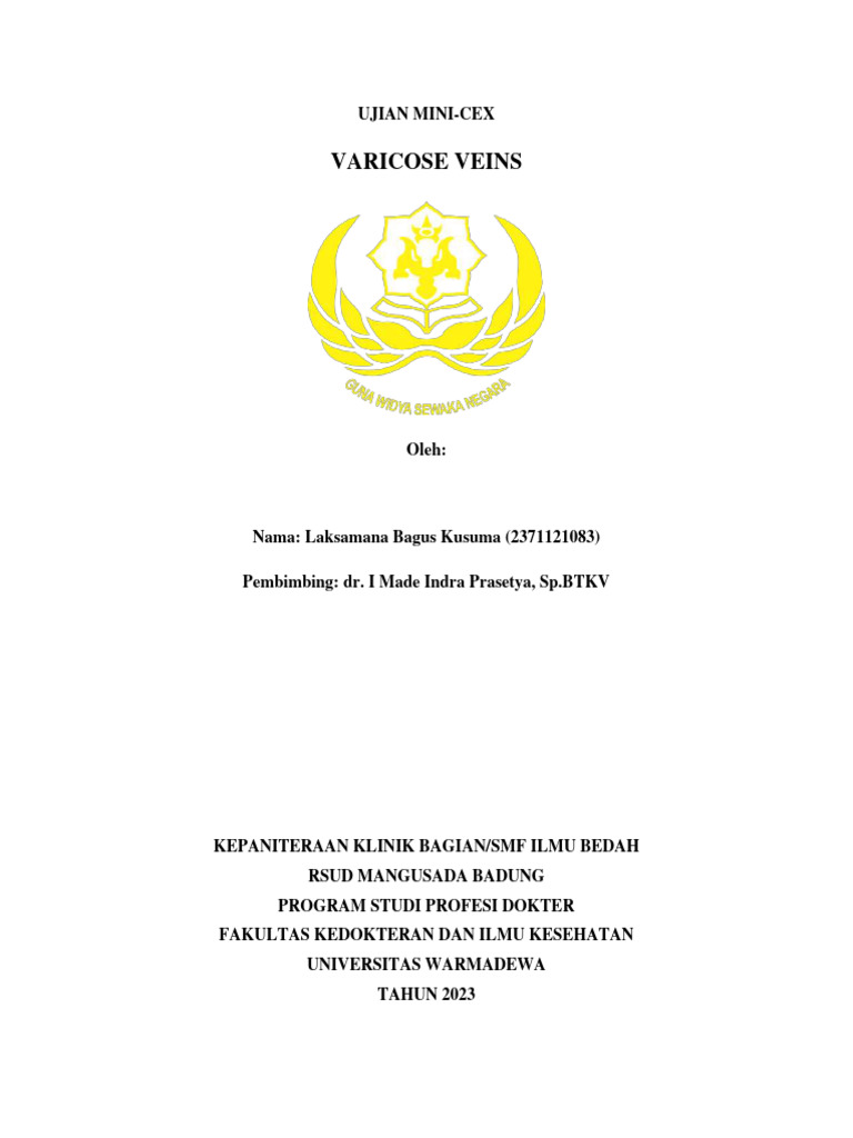 Minicex BTKV Terbaru | PDF