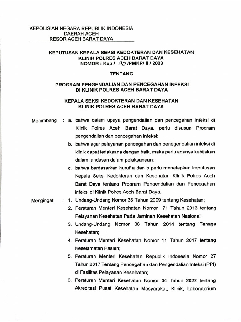 SK Program Ppi | PDF