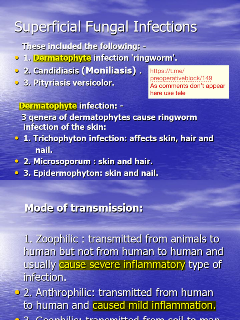 Anthrophilic Fungal Infections Overview | PDF