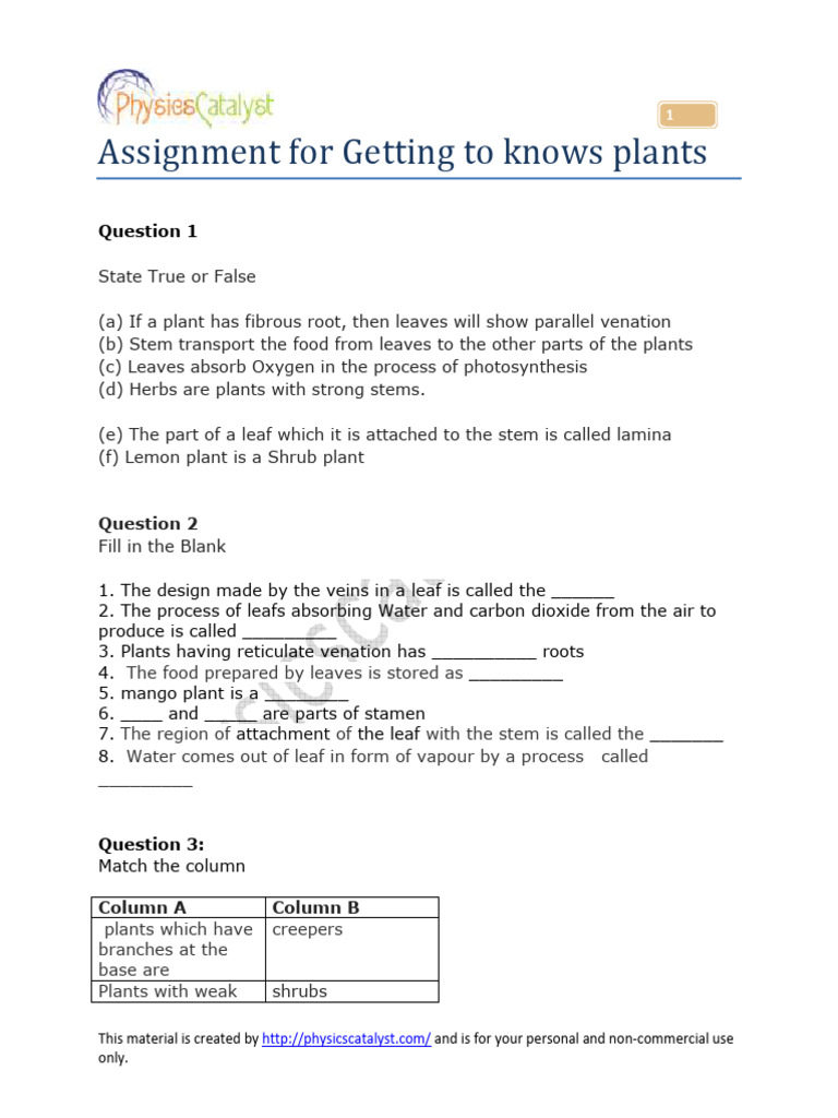 Getting To Know Plants | PDF | Leaf | Botany