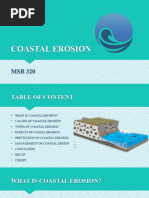 Geography Students' Coastal Study | PDF | Erosion | Coast