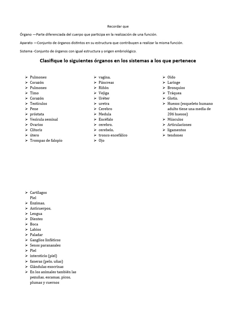 Clasificar Organos Ejercicio | PDF