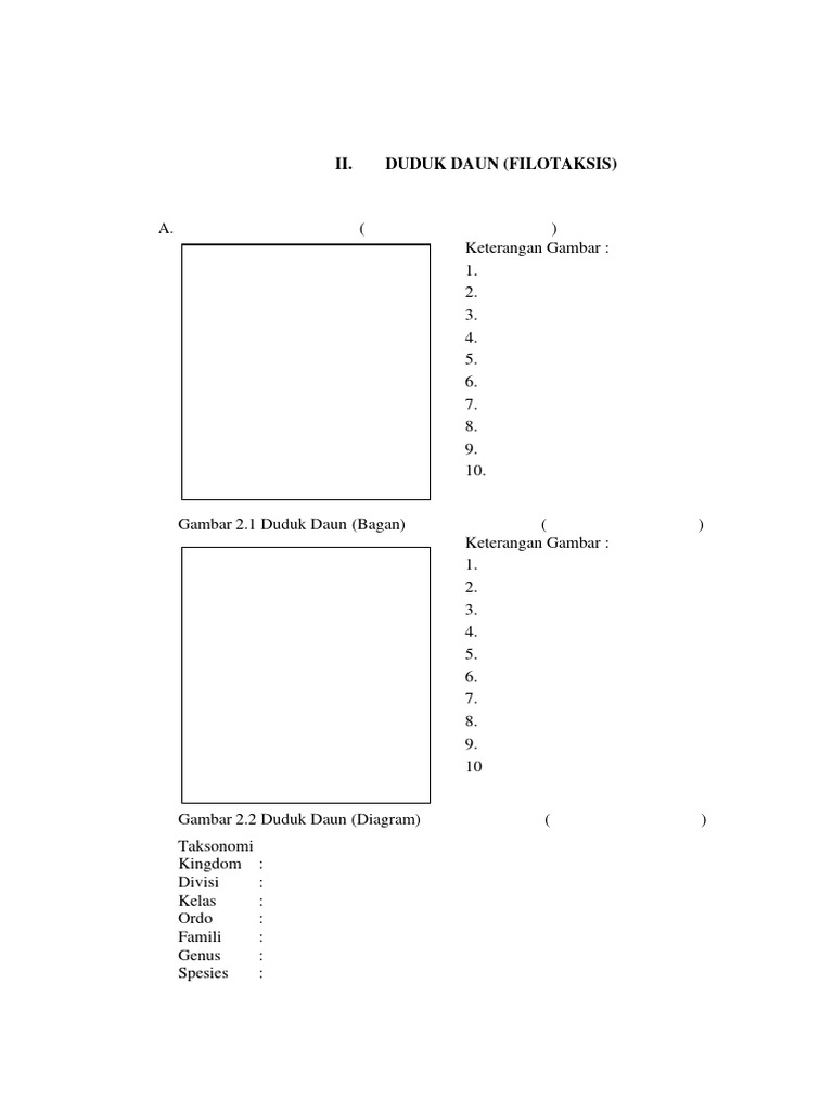 Format Botani Acara 2 Duduk Daun Fix | PDF