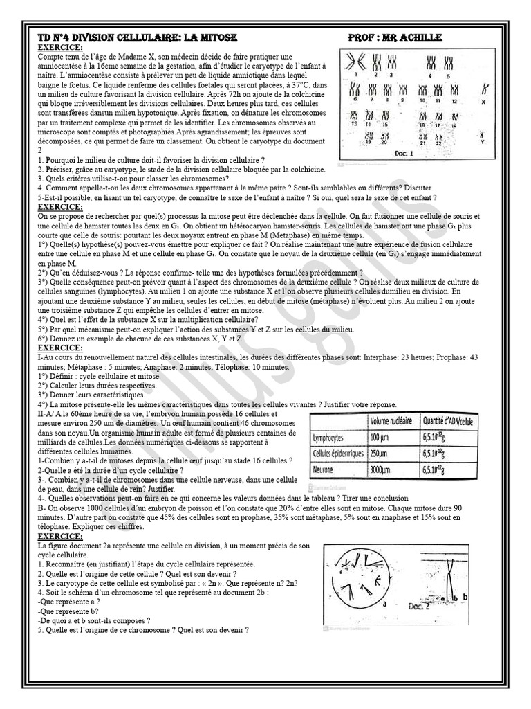 TD N°4 Division Cellulaire: La Mitose Prof: MR Achille: Exercice | PDF