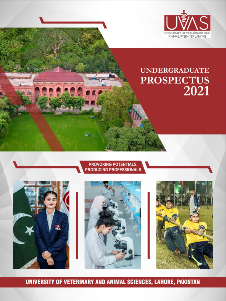 UG Prospectus 2021 | PDF | Bachelor Of Science | University And College Admission