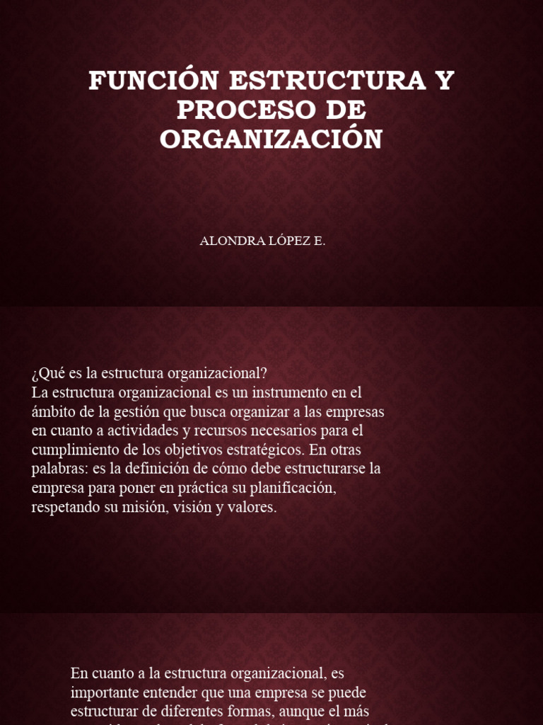 Función Estructura y Proceso de Organización EXPOCICION | Descargar ...