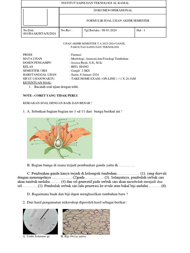 SOAL MORFOLOGI, ANATOMI DAN FISIOLOGI TUMBUHAN-UJIAN AKHIR SEMESTER T.A ...