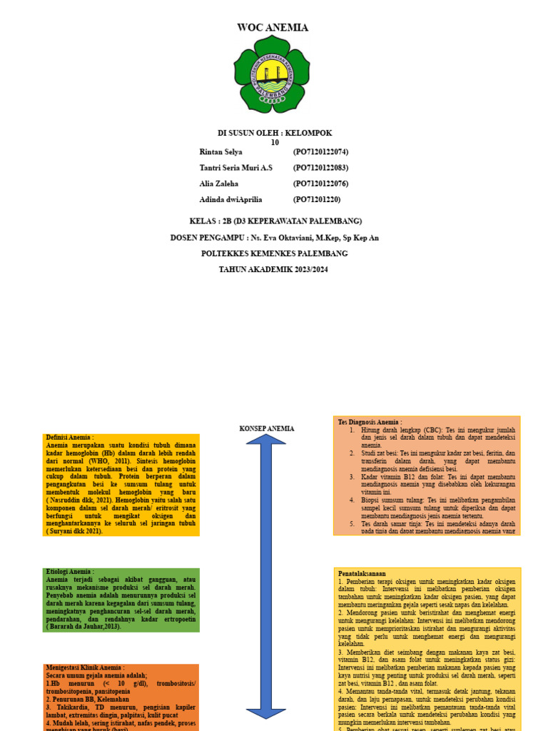 Woc Kep Anak Kel 10 Anemia | PDF