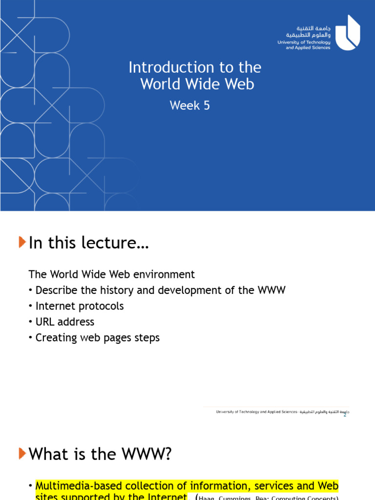World Wide Web | PDF