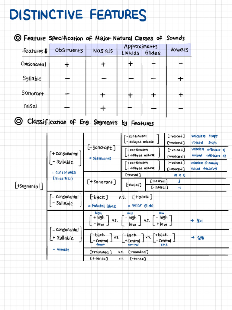 Distinctive Feature | PDF | Sound Production | Phonetics