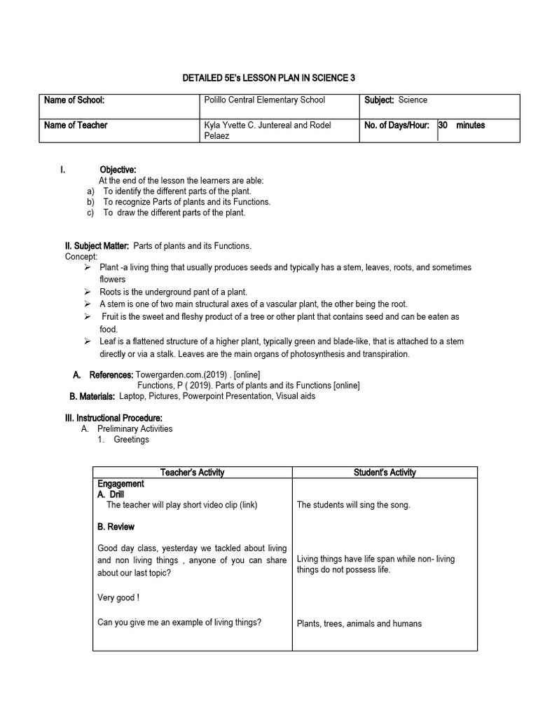 Science LP Finalna | PDF | Plants | Fruit
