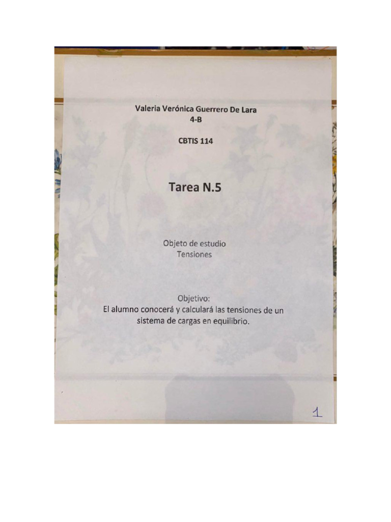 Tareas n.5 | PDF