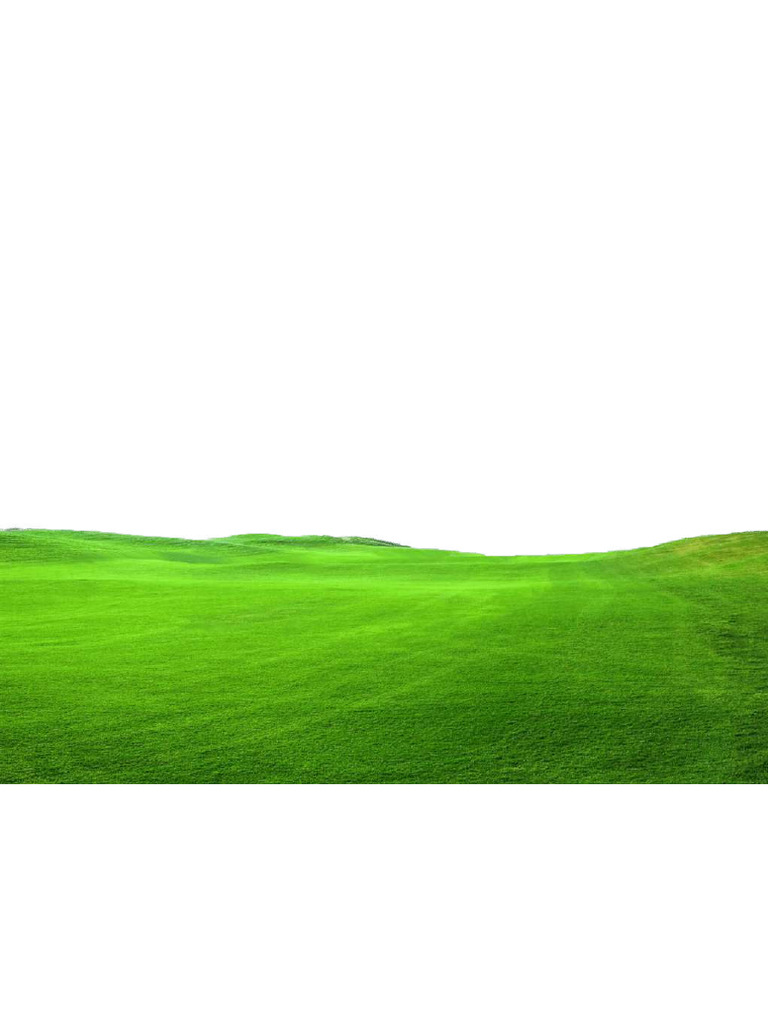 pngwing.com (4) | PDF