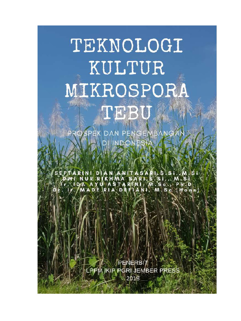 Teknologi Kultur Mikrospora Tebu | PDF | Kesehatan Holistik | Teknologi & Rekayasa