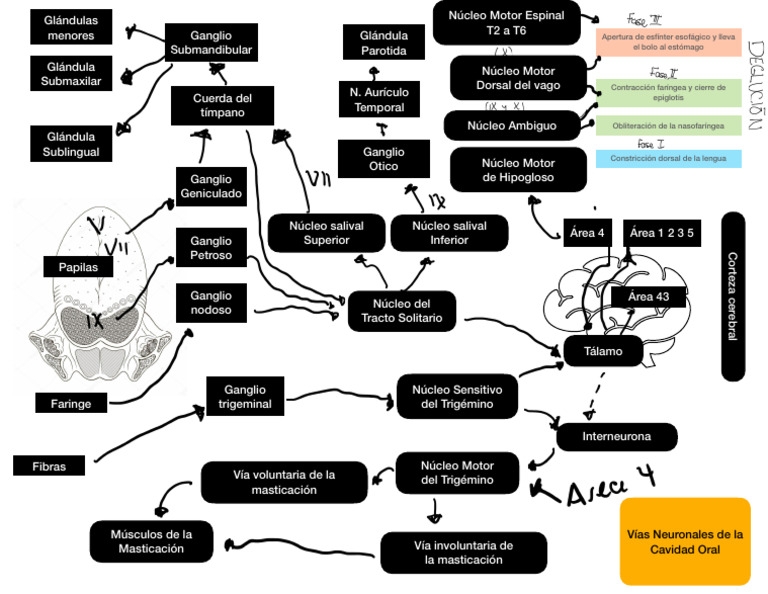 Esquema Global | PDF