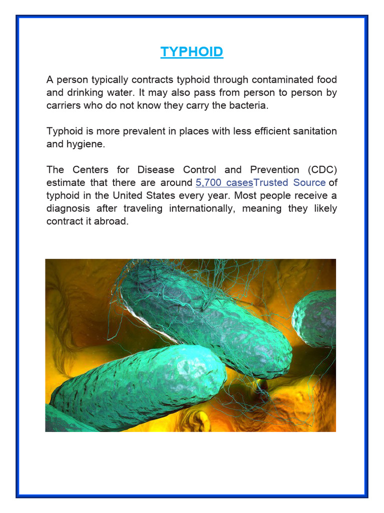 TYPHOID | PDF | Microbiology | Health Sciences