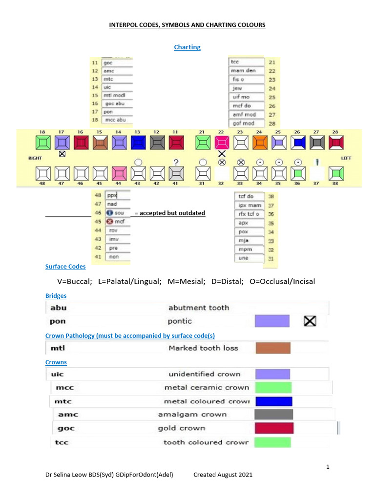 INTERPOL codes, symbols and charting colours | PDF