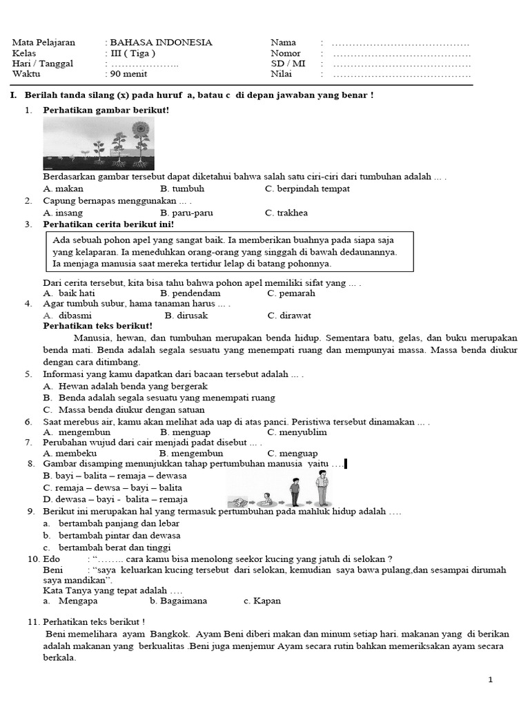 SOAL AAS BIN KLS 3 2023 k13 | PDF | Ilmu Sosial | Dewasa Muda